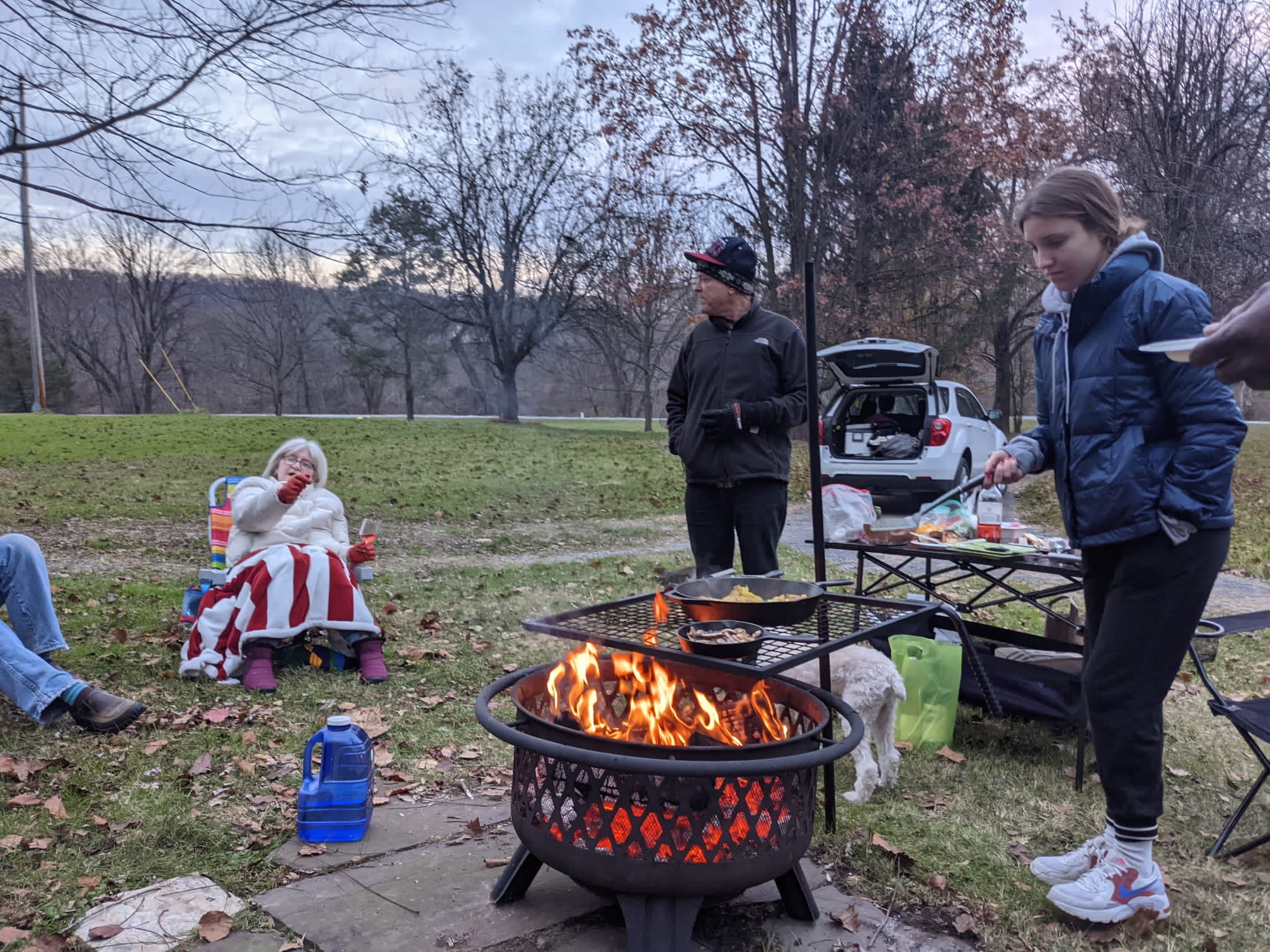VEVOR Swivel Grill, Heavy Duty Steel Campfire Grill,Single Layer Open ...